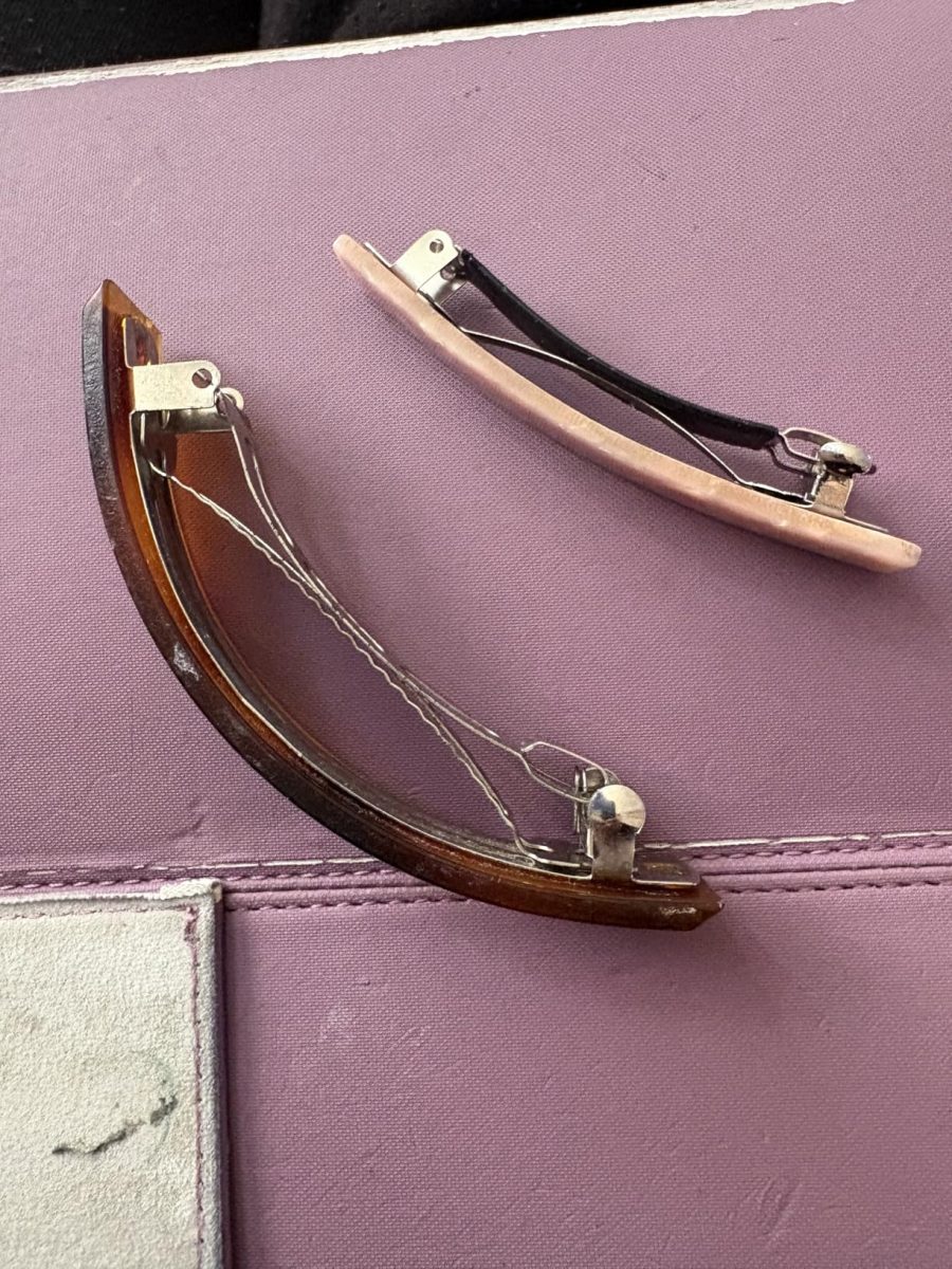 9 Types of Hair Clips Explained: A Complete Guide