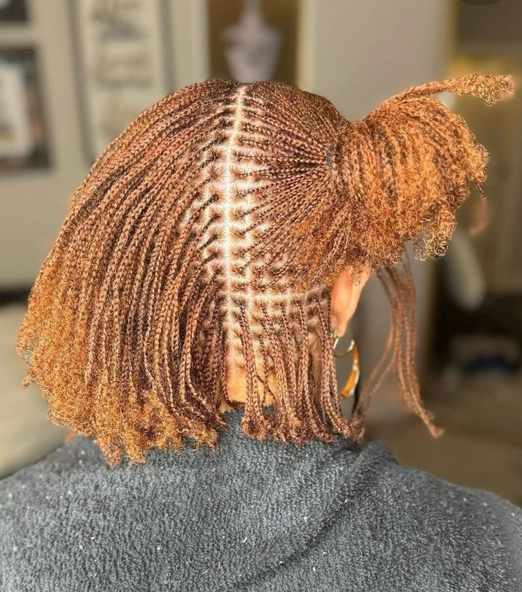 35 Different Types of Braids With Pictures