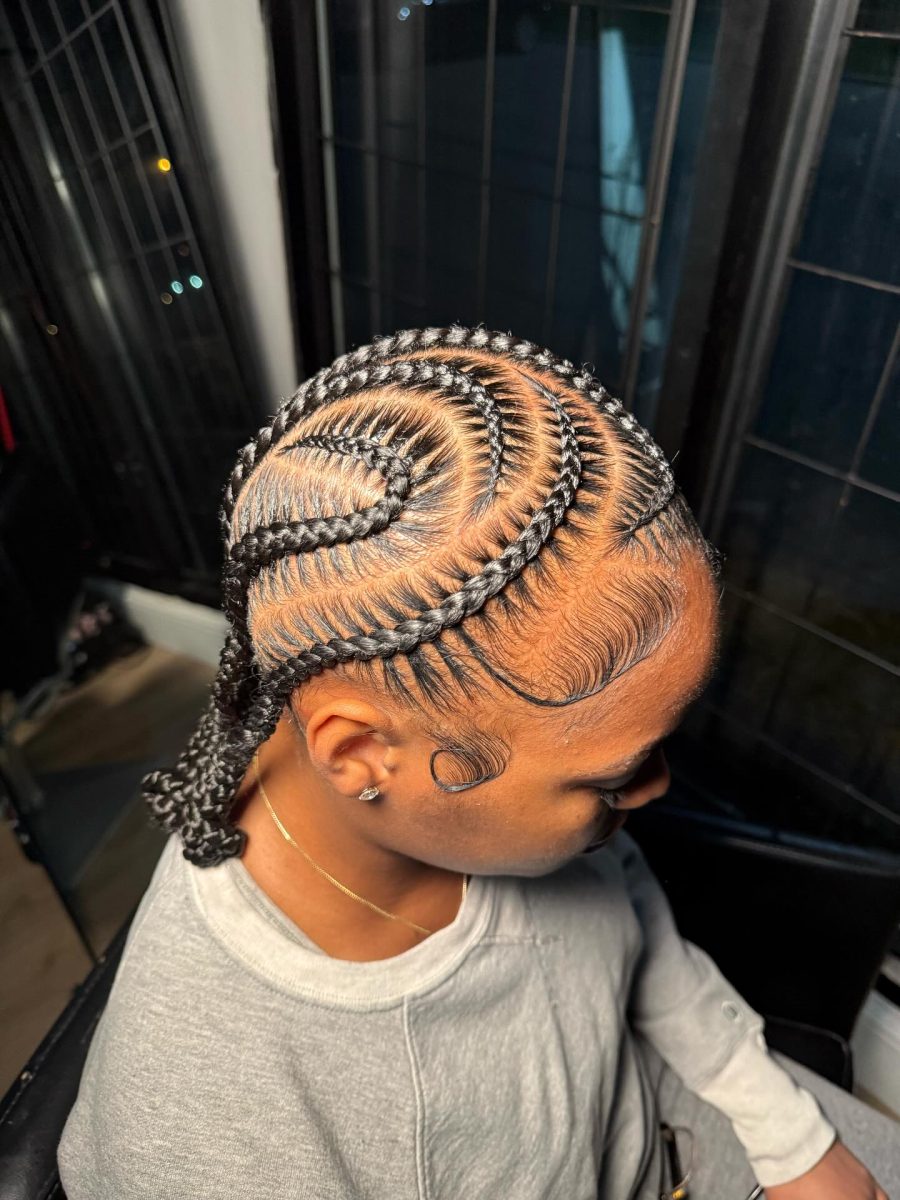 35 Different Types of Braids With Pictures